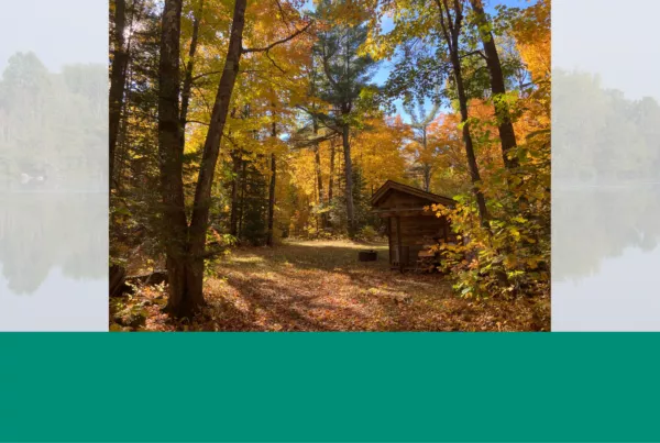 Timberland Investment: Land, Natural Resource, & Forest Valuation